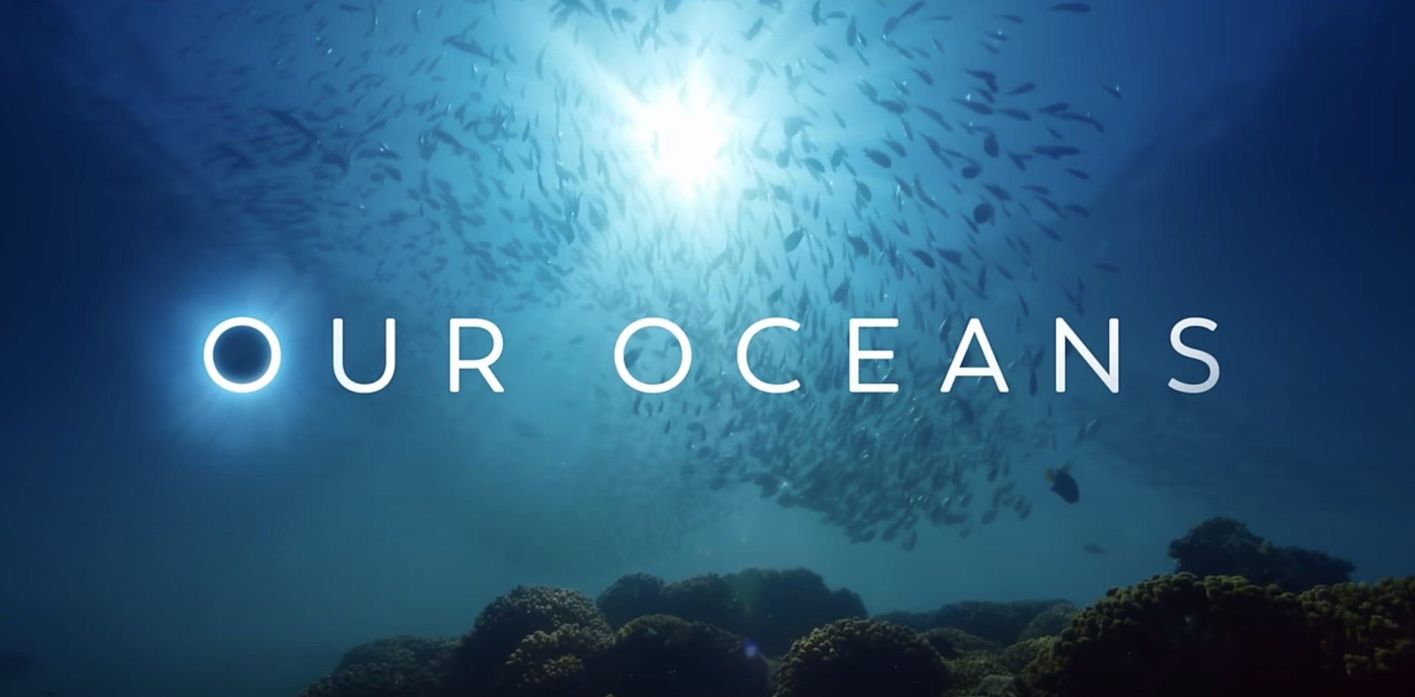 Our Oceans Cameraman | Roger Munns | Underwater Cinematographer
